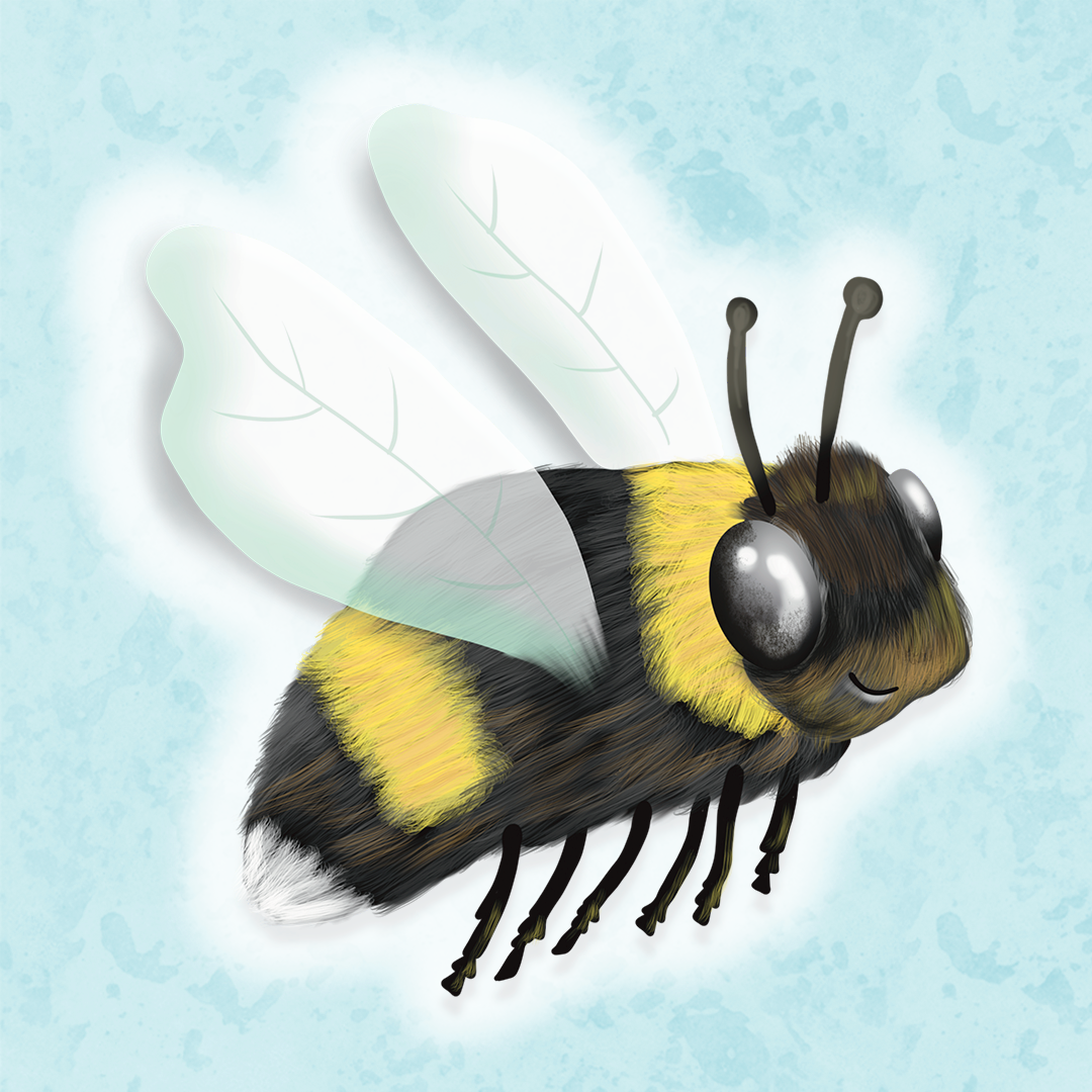 Benny – Pintada Designs