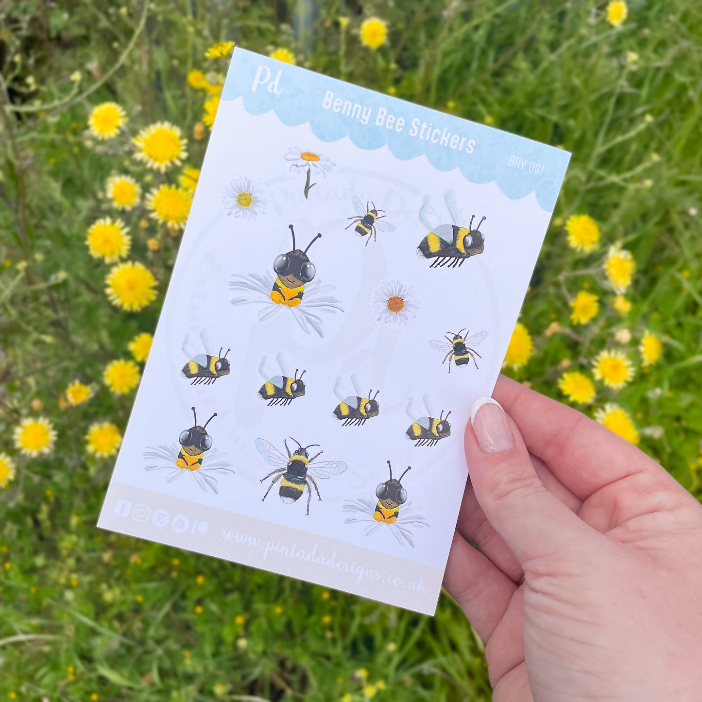 Benny Bee Sticker Sheet – Pintada Designs