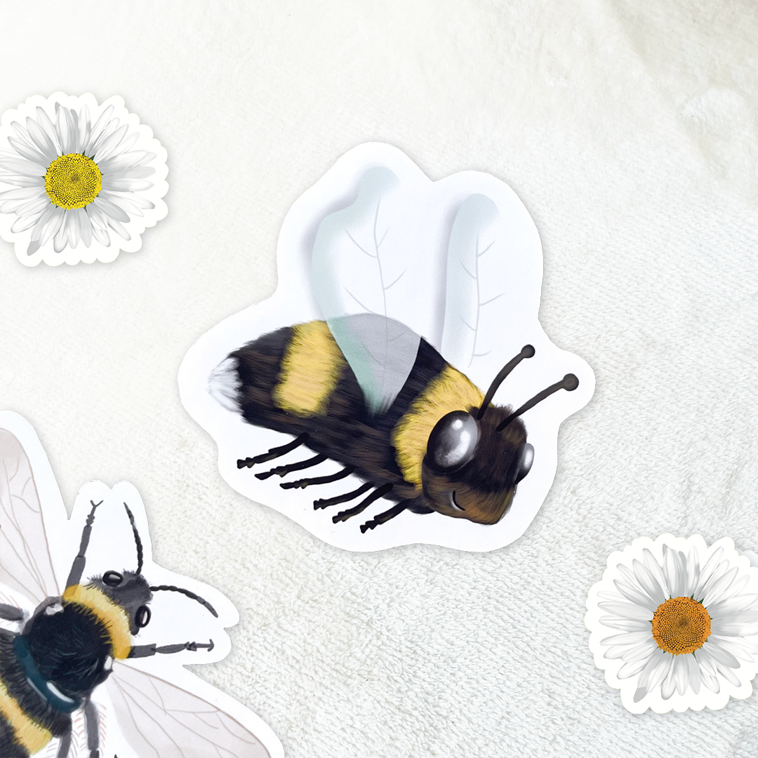 Products – Pintada Designs